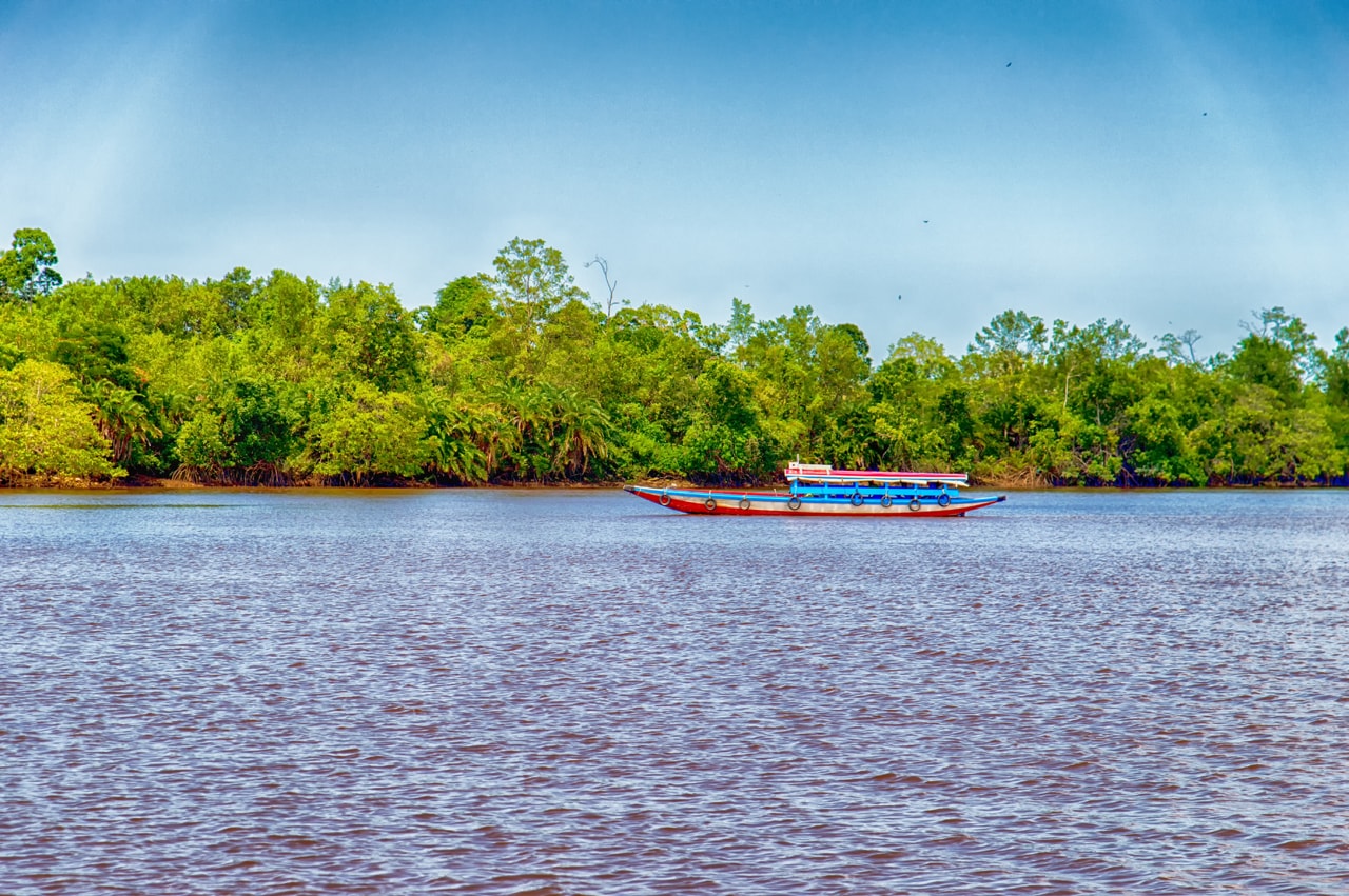 Een onvergetelijke reis maken door de natuur van Suriname - Vakantie in ...